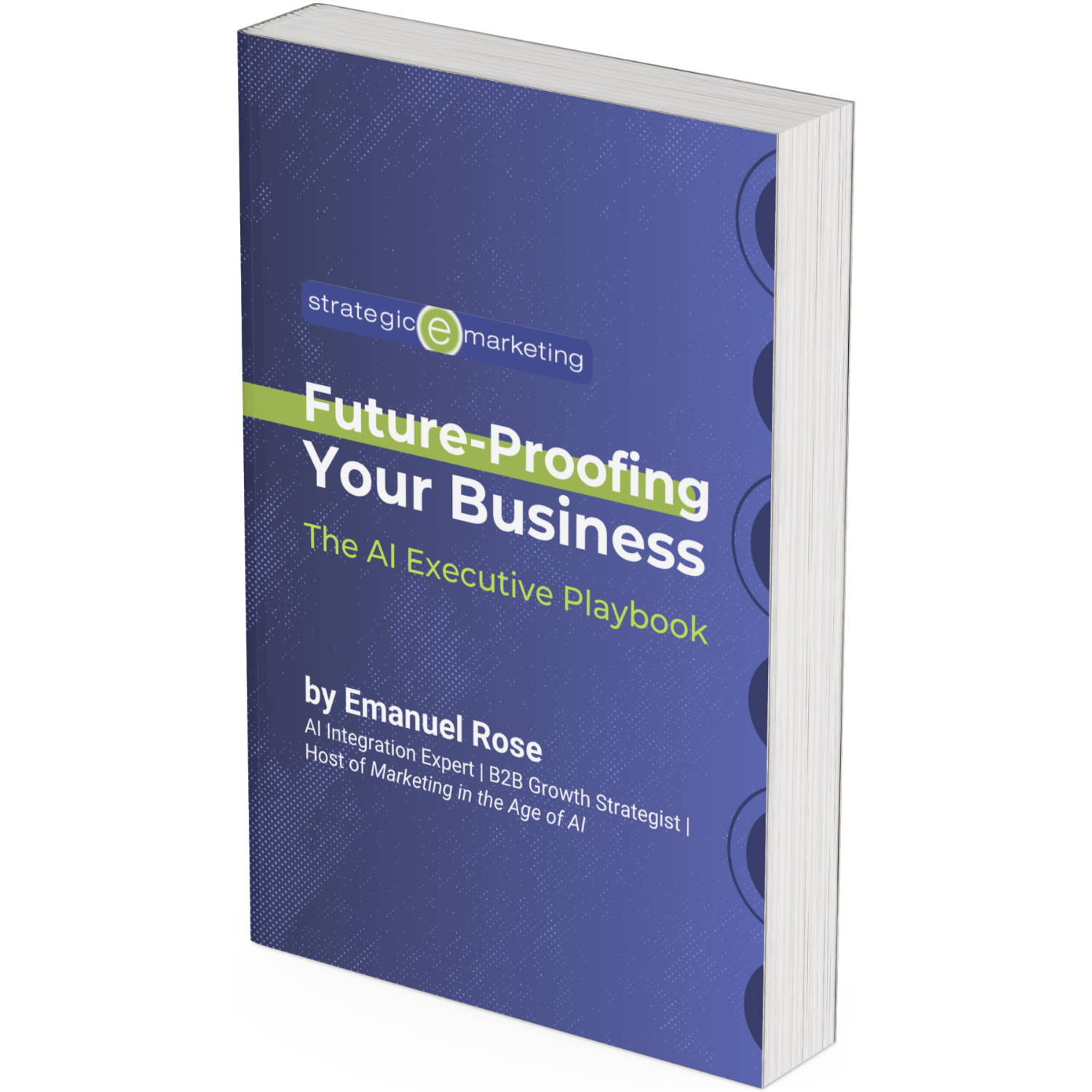 The AI Executive Playbook - Book Store